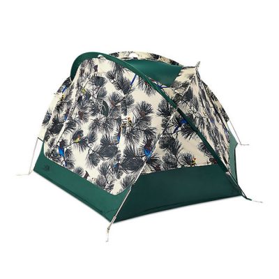 Homestead Domey 3 | Homestead Domey 3P | The North Face
